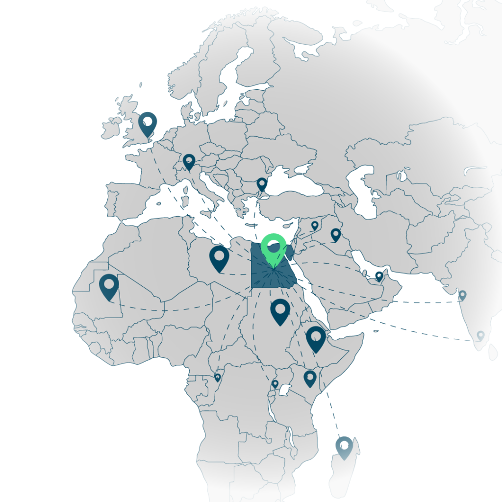 Eucalyptus Exports – Transparency and Trust